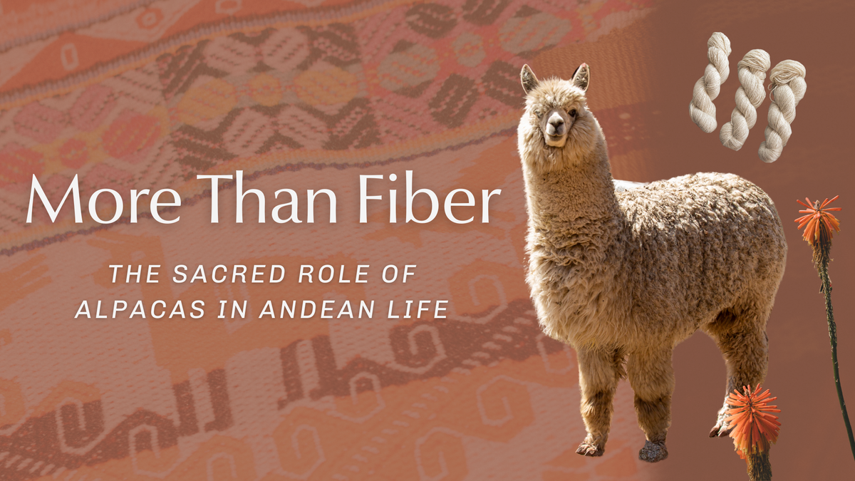 More Than Fiber: The Sacred Role of Alpacas in Andean Life – Awamaki